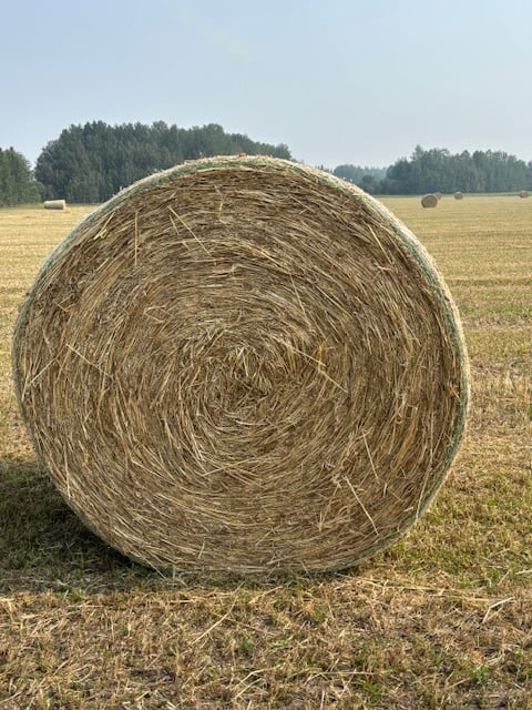 Alberta Hay and Feed Directory